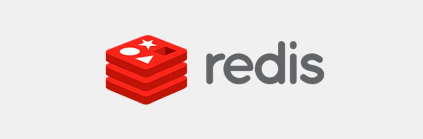 Caché de Objetos en WordPress • EXTASSIS NETwork Tutoriales